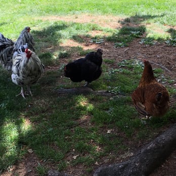 MAPLEWOOD FARM - Updated May 2024 - 252 Photos & 44 Reviews - 405 ...