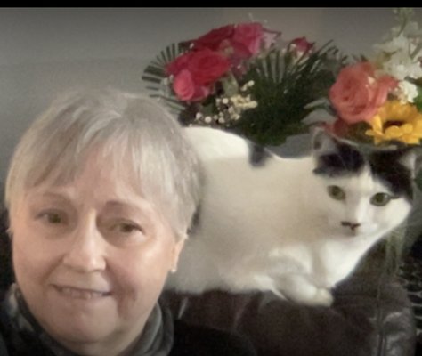 JUDITH-ANN ANDERSON LPC - Updated December 2025 - Dallas, Texas ...