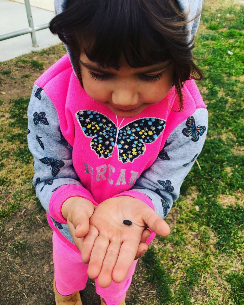 STEP OUTSIDE - Updated September 2025 - 31583 Castaic Rd, Castaic ...