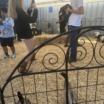 THE BEEHIVE - Updated December 2025 - 59 Photos & 11 Reviews - 961 E ...