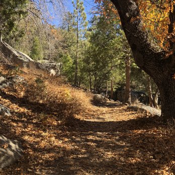 IDYLLWILD PARK - Updated September 2025 - 222 Photos & 90 Reviews ...