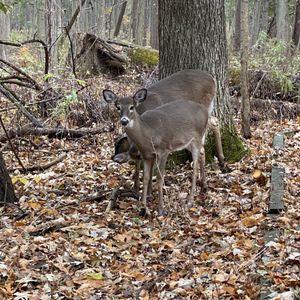 IRONDEQUOIT BAY MARINE PARK - 43 Photos - 5000 Culver Rd, Irondequoit ...