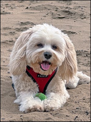 FORT FUNSTON - Updated October 2025 - 2689 Photos - 1184 Reviews - 206 ...