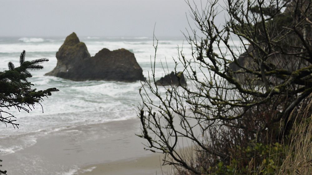 ARCADIA BEACH STATE RECREATION SITE - Updated April 2024 - 86 Photos ...