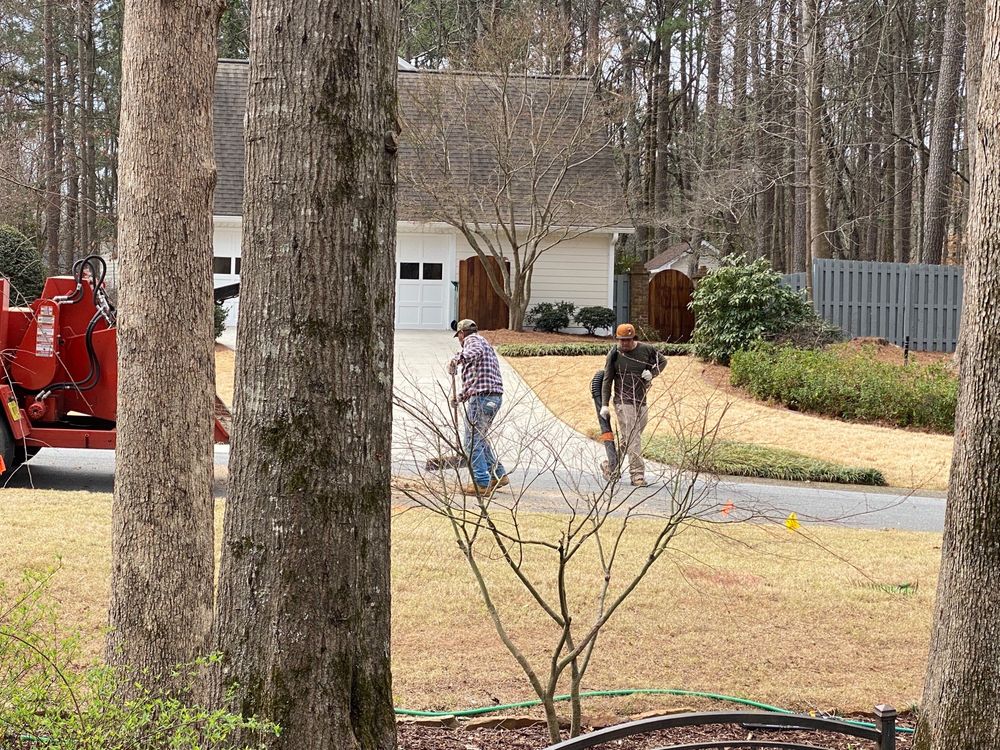 LITTLE BEAR TREE SERVICE - Updated March 2025 - 13 Photos & 16 Reviews ...