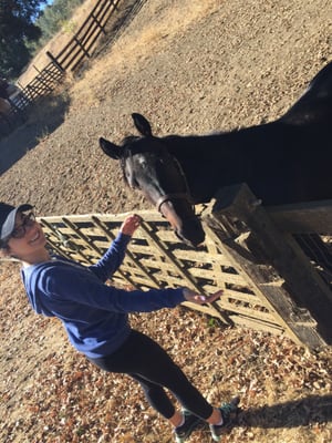 RUSTRIDGE RANCH & WINERY - Updated October 2025 - 13 Photos & 12 ...