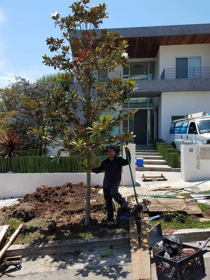 VICTOR LANDSCAPING SERVICES - Updated December 2025 - 20 Photos - Los ...