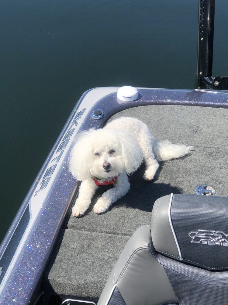 MARCH KENNETH DPM - Updated July 2025 - 27 W Sand Lake Rd, Wynantskill ...