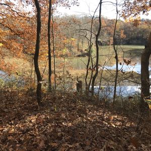 TUG BOAT DEPOT - Updated December 2025 - 71 Photos - Caperton Trl ...