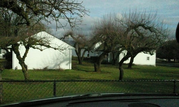 CAPLES HOUSE MUSEUM - Updated August 2025 - 10 Photos - 1925 First St ...