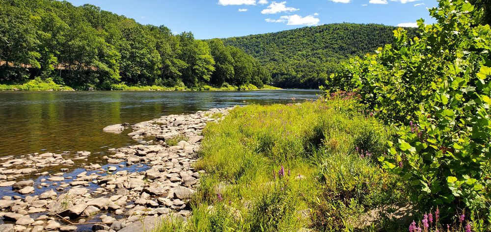 STARLIGHT LODGE - Updated October 2025 - 15 Photos - 169 Starlight Lake ...