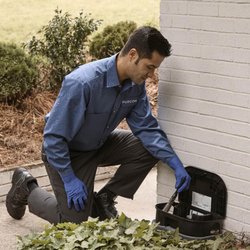 PURCOR PEST SOLUTIONS - 35 Photos & 423 Reviews - 2533 Inter Ave ...