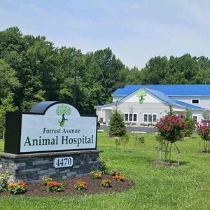FIRST STATE ANIMAL CENTER AND SPCA - Updated August 2025 - 32 Shelter ...