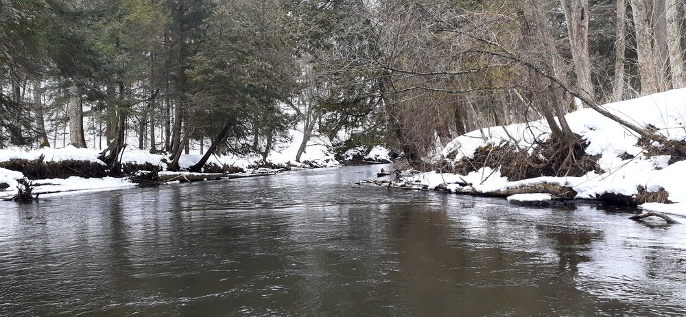 PINE RIVER PADDLESPORT CENTER - Updated February 2025 - 44 Photos & 14 ...