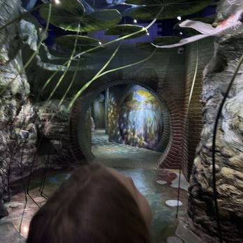 WIZARD QUEST - Updated December 2025 - 106 Photos & 153 Reviews - 400 ...