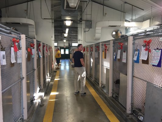 COLLIER COUNTY DOMESTIC ANIMAL SERVICES - Updated October 2025 - 19 ...