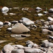 SENECA SHADOWS CAMPGROUND - 16 Photos - Campgrounds - Seneca Rocks, WV ...