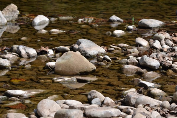 SENECA SHADOWS CAMPGROUND - Updated December 2025 - 23 Photos - Seneca ...