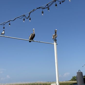 HALF SHELL DOCKSIDE - Updated December 2025 - 284 Photos & 238 Reviews ...