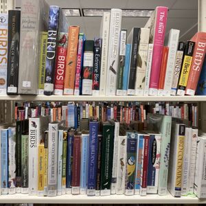 MEDINA COUNTY DISTRICT LIBRARY - MEDINA LIBRARY - Updated December 2025 ...