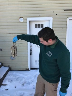 YANKEE PEST CONTROL - Updated October 2025 - 27 Photos & 39 Reviews ...