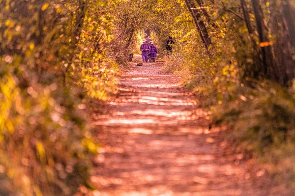 THE GEORGE C REIFEL MIGRATORY BIRD SANCTUARY - Updated April 2024 - 89 ...