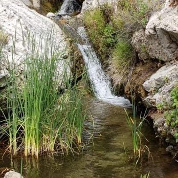 TRAIL CANYON FALLS - Updated July 2025 - 511 Photos & 113 Reviews ...