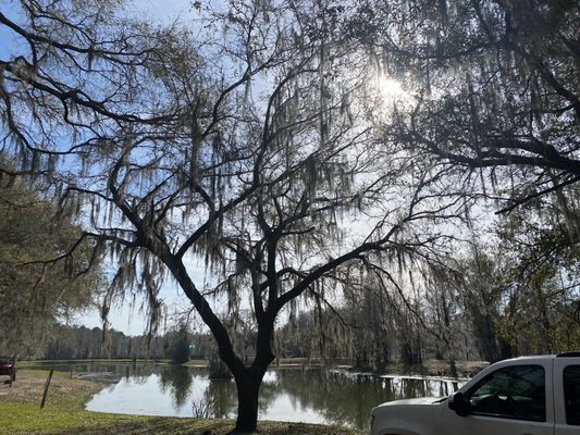 RAGANS FAMILY CAMPGROUND - Updated February 2025 - 26 Photos & 21 ...