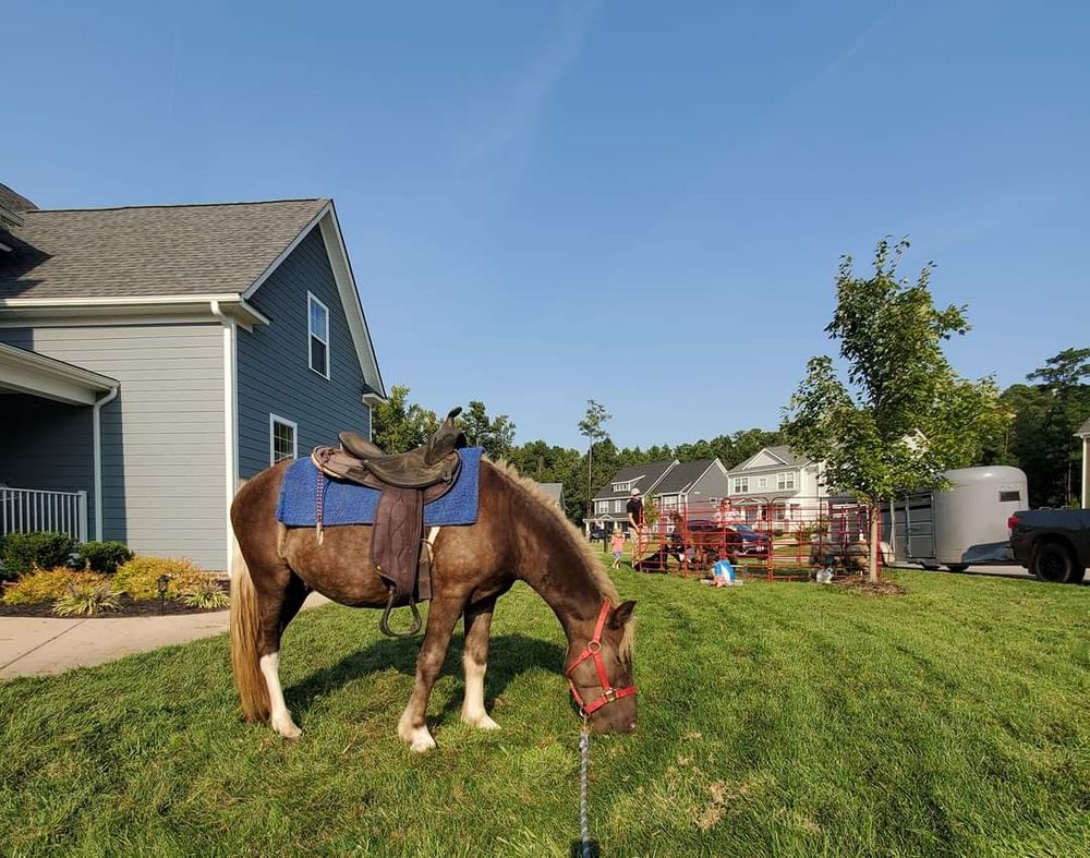 FLAT CREEK FARM - 13342 Lodore Rd, Amelia Court House, VA - Yelp