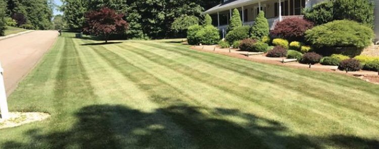 TY MELLO LANDSCAPING - Updated May 2026 - 11 Photos - 2 Garden St ...