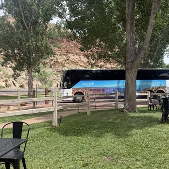 WILD THYME CAFE - Updated June 2025 - 143 Photos & 134 Reviews - 2501 ...