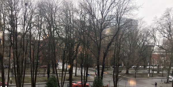 SOUTH PARK BLOCKS - 53 Photos & 26 Reviews - SW Park And Salmon St ...