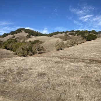 MT. BURDELL OPEN SPACE PRESERVE - Updated January 2026 - 167 Photos ...