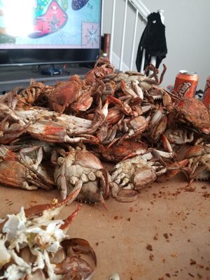 GAFFNEY’S BACK FIN - 17 Photos & 42 Reviews - 415 S Highland Ave ...