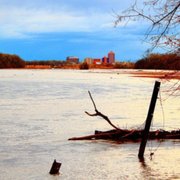 PASEO DEL BOSQUE TRAIL - 115 Photos & 25 Reviews - Hiking - Along The ...