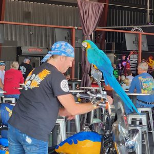 OCC ROAD HOUSE & MUSEUM - 581 Photos & 153 Reviews - 10575 49th St N, Clearwater, Florida ...