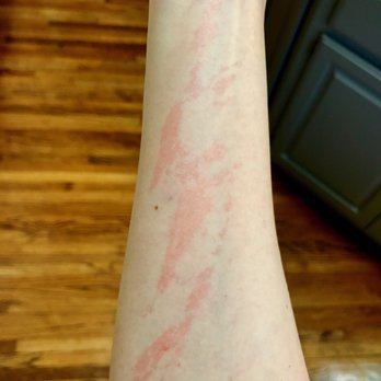 THE WAX STOP - Updated December 2025 - 23 Reviews - 5 9th Ave S ...