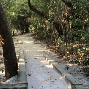 GULFSTREAM PARK - 79 Photos & 37 Reviews - Parks - 4489 N Ocean Blvd ...