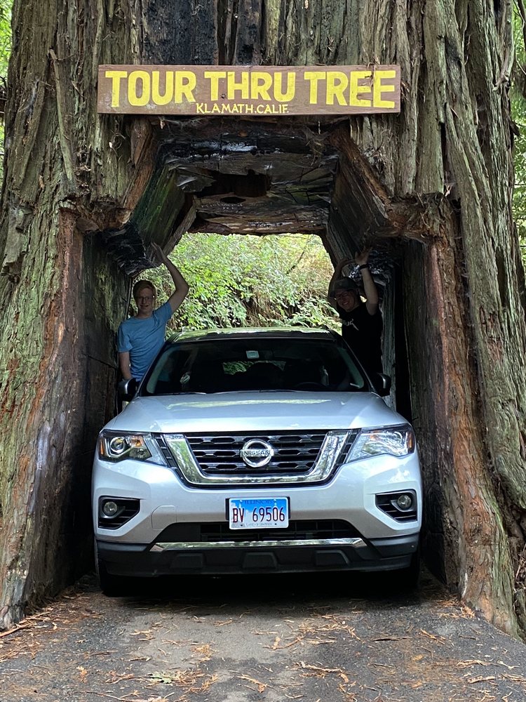 TOUR THRU TREE - 74 Photos & 40 Reviews - Local Flavor - 430 CA-169 ...