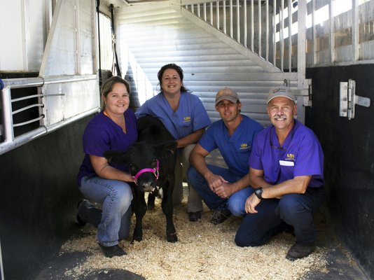 LOUISIANA STATE UNIVERSITY VETERINARY TEACHING HOSPITAL - Updated ...