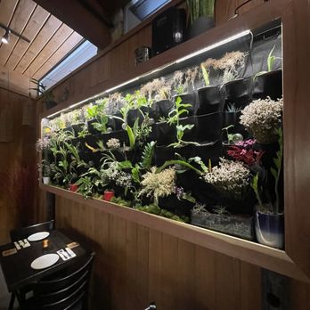 XACALLI KITCHEN - Updated December 2025 - 360 Photos & 219 Reviews ...