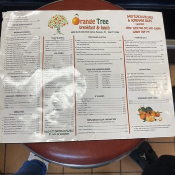 ORANGE TREE BREAKFAST & LUNCH - Updated May 2024 - 120 Photos & 130 ...