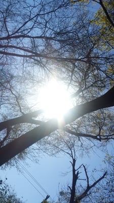 DOSS PARK - Updated January 2026 - 12 Photos - 2500 Frick Rd, Houston ...