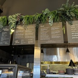 CURIOUSER COFFEE & CONSERVATORY - Updated July 2025 - 111 Photos & 43 ...