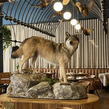 WREN & WOLF - Updated January 2025 - 1886 Photos & 821 Reviews - 2 N ...