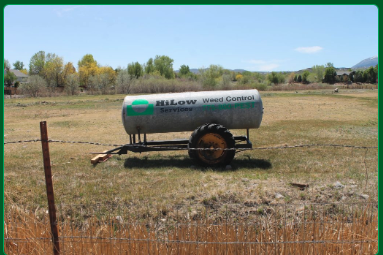 HILOW PEST CONTROL SERVICES - Updated August 2025 - 12 Photos & 10 ...