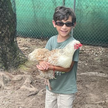 THE LITTLE FARM - Updated December 2025 - 172 Photos & 68 Reviews ...