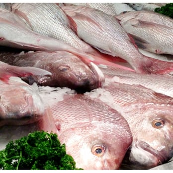 SEAFRESH FISH MARKETS - Updated October 2025 - 22 Photos - 388 ...