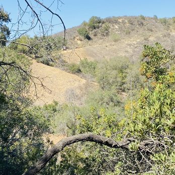 TREEPEOPLE - Updated July 2025 - 187 Photos & 85 Reviews - 12601 ...