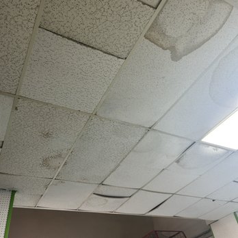 ROLLER LAND - Updated January 2025 - 23 Photos & 49 Reviews - 1445 W ...